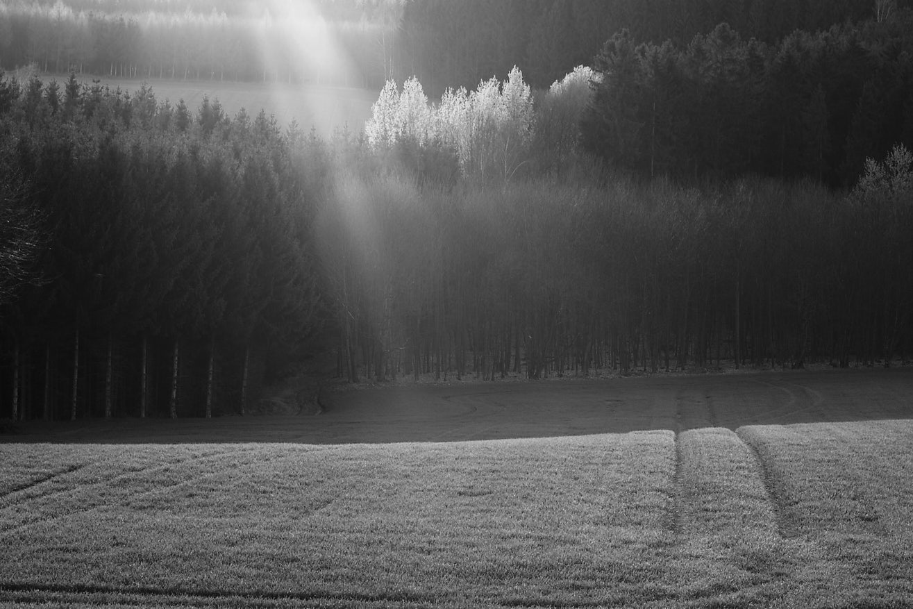 Intentional Lens Flare in Landscape Photography – icarium imagery