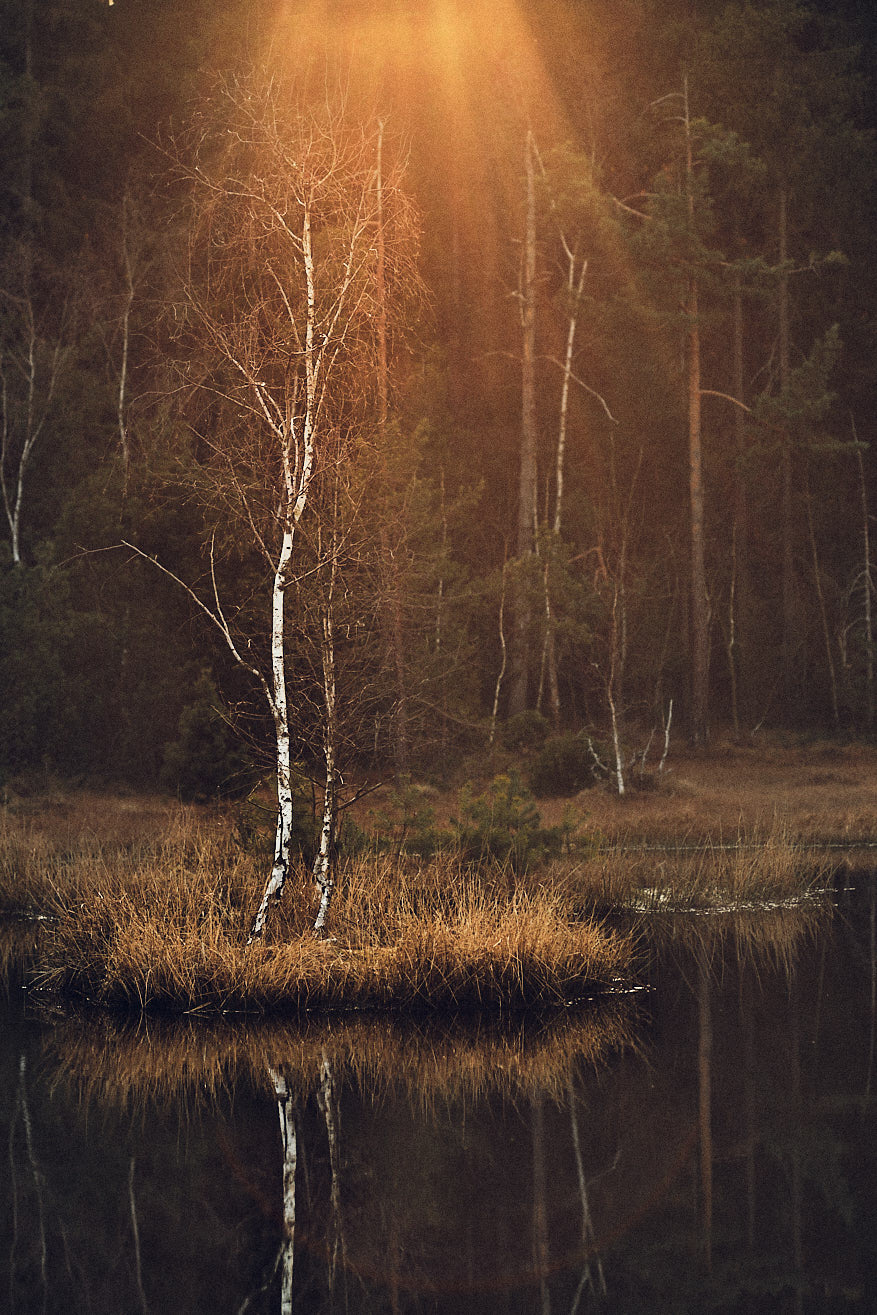 Intentional Lens Flare in Landscape Photography – icarium imagery