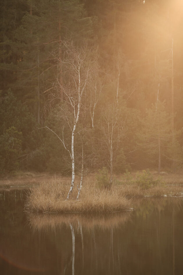 Intentional Lens Flare in Landscape Photography – icarium imagery